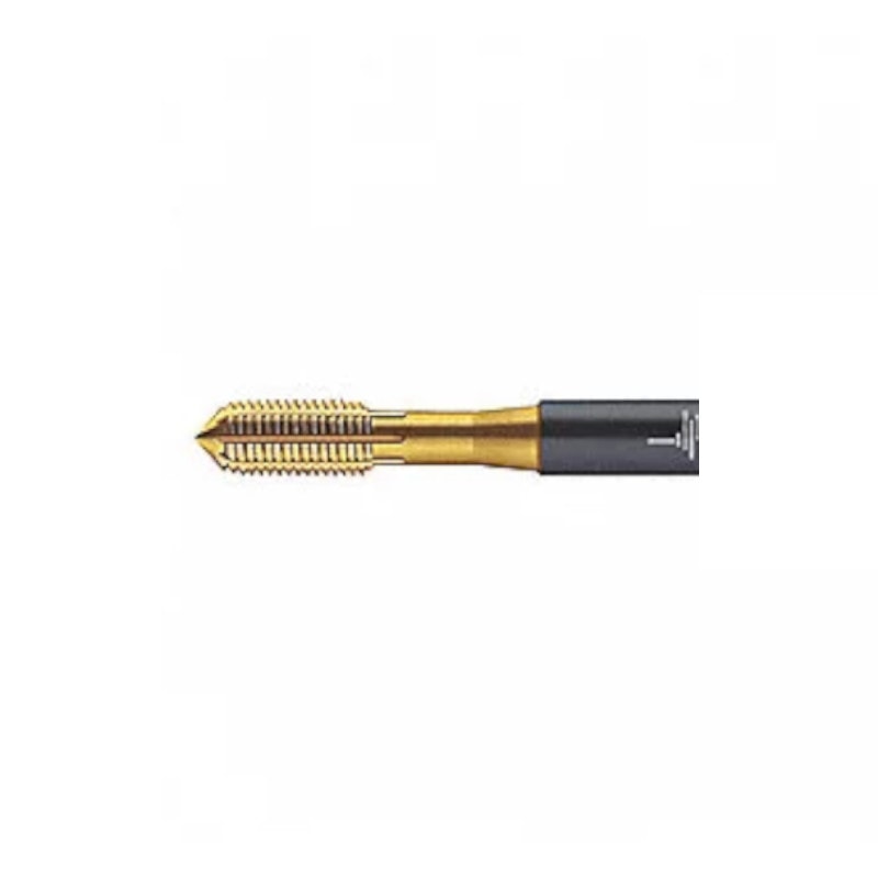 Macho Laminador HSS-CO M10x1,50mm 6HX Din 2174 TIN EP2061805-M10 PROTOTYP | Anhanguera Ferramentas